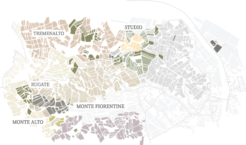 Soave Classico - Ca' Rugate
