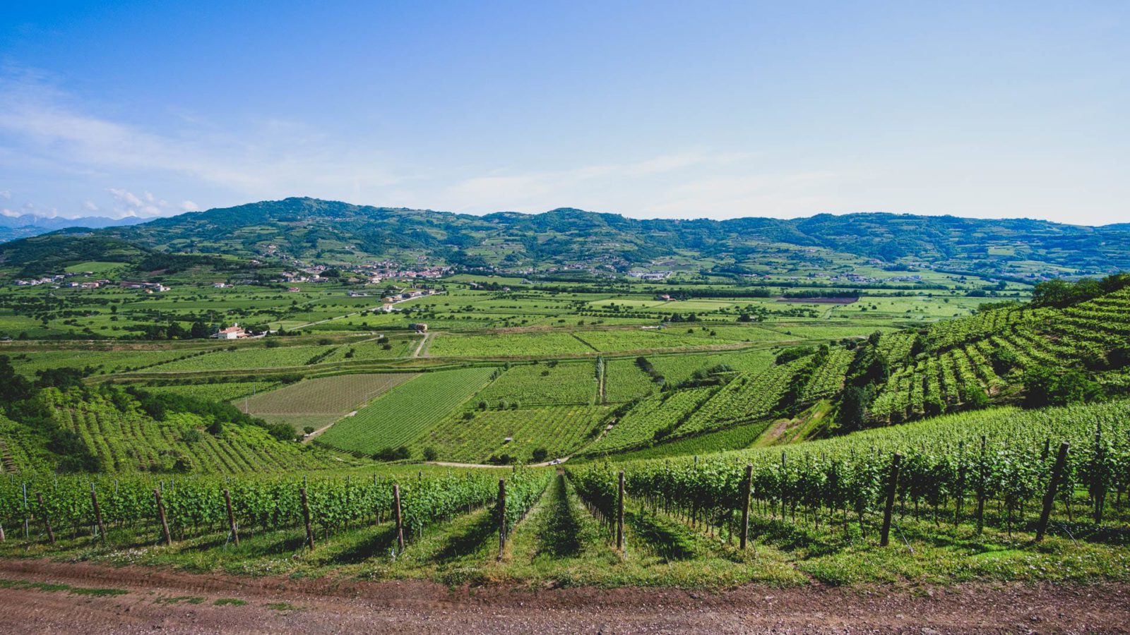 Soave Classico - Ca' Rugate
